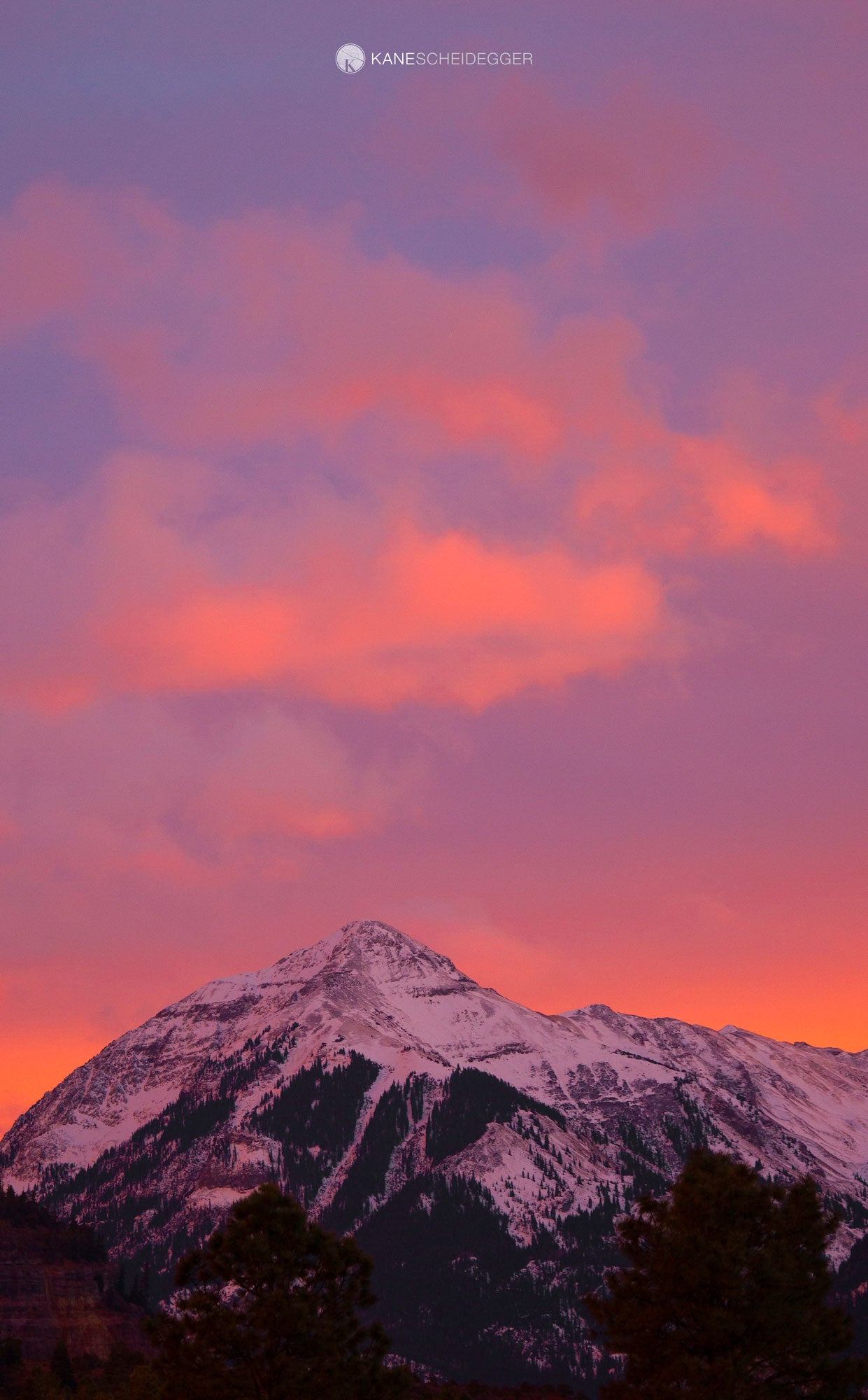 Colorful Winter – Kane Dezign LLC